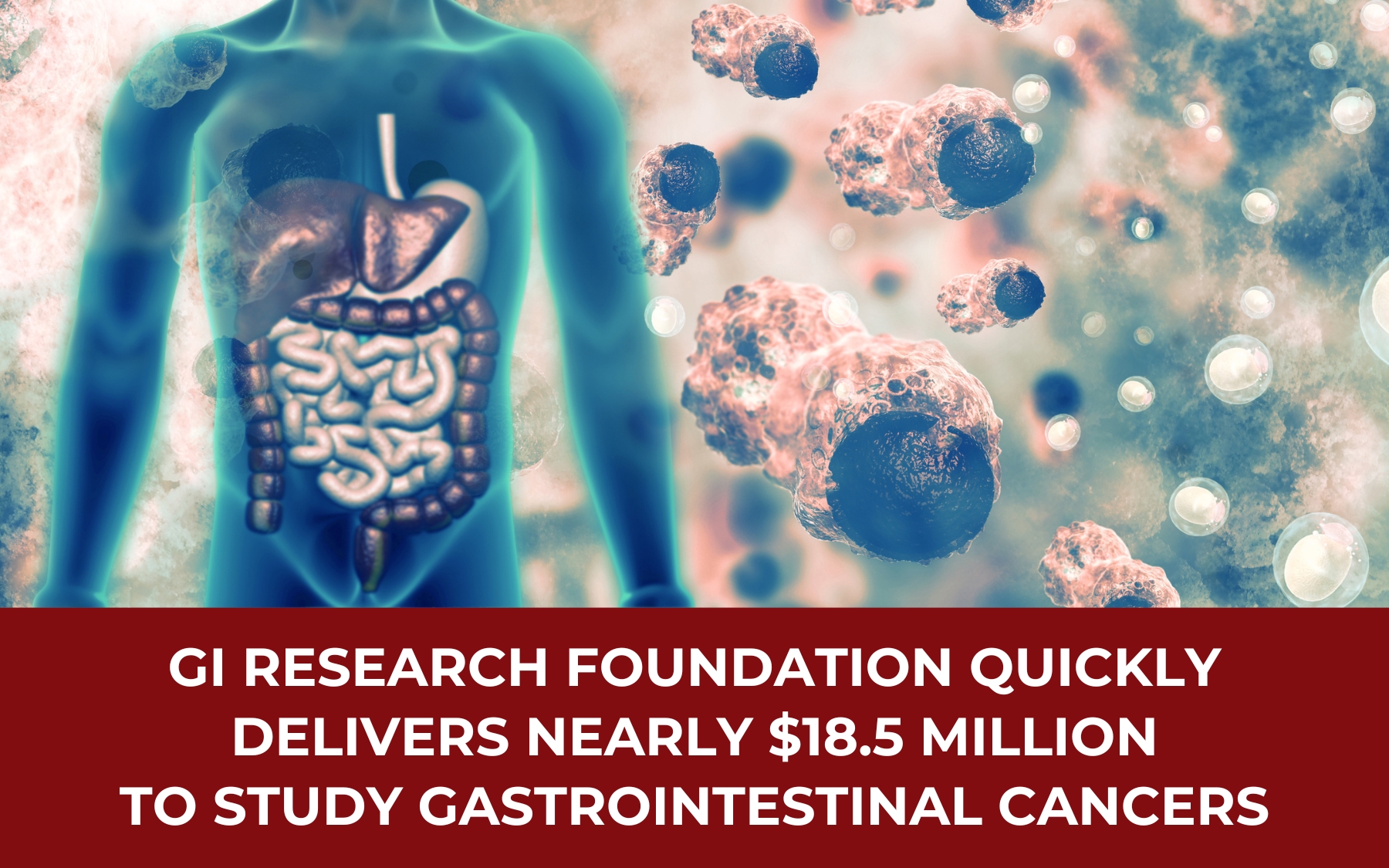 Newsroom - Gastro-Intestinal Research Foundation